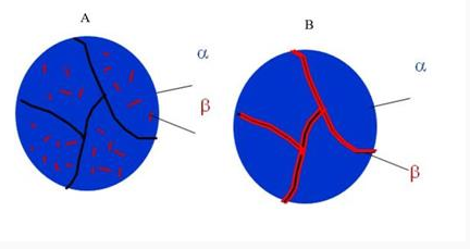 Solved In the figure below, which represents heterogeneous | Chegg.com