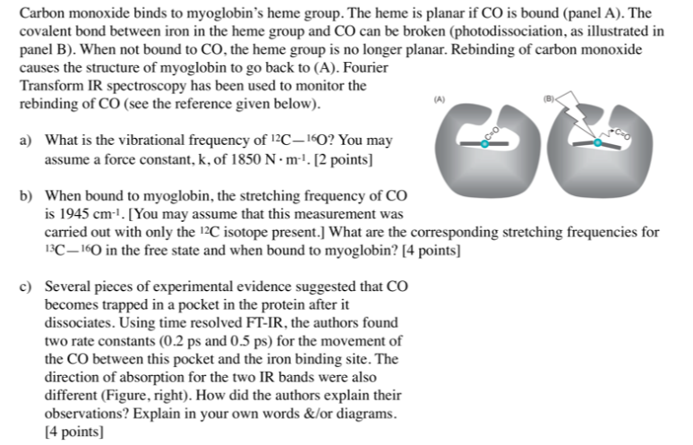 Solved Carbon monoxide binds to myoglobin's heme group. The | Chegg.com