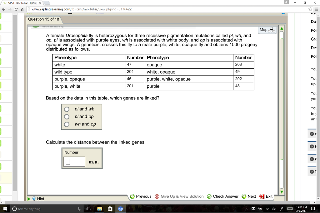 Solved A Female Drosophila Fly Is Heterozygous For Three 7280