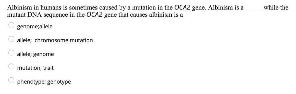 Solved Albinism in humans is sometimes caused by a mutation | Chegg.com