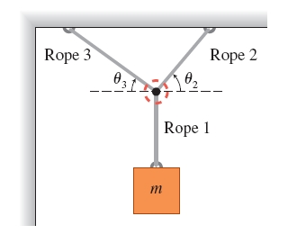 Solved You hang a light in front of your house using an | Chegg.com