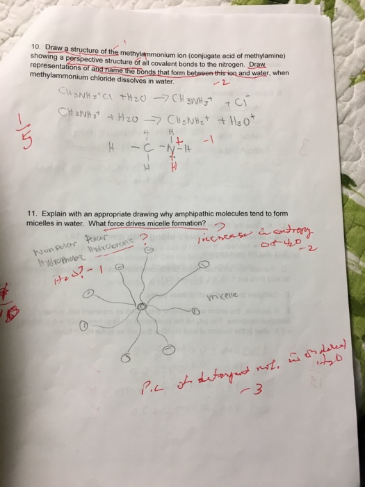 Solved Draw a structure of the methylammonium ion (conjugate | Chegg.com