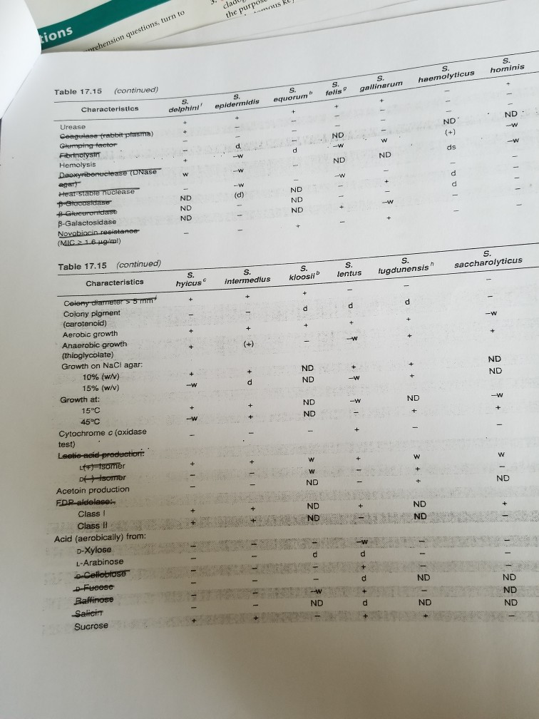 or Assignment: Staphulococcus Unknown Flow Diagram | Chegg.com