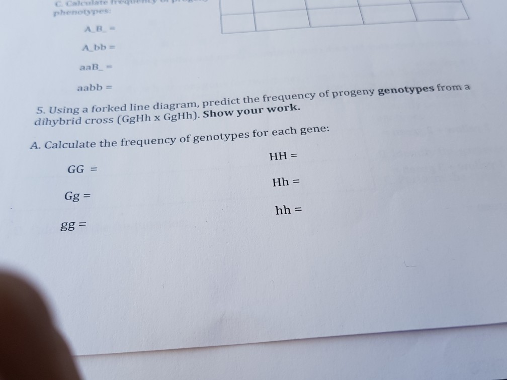 Solved phenotypes: A,B, = 5. Using a forked line diagram, | Chegg.com