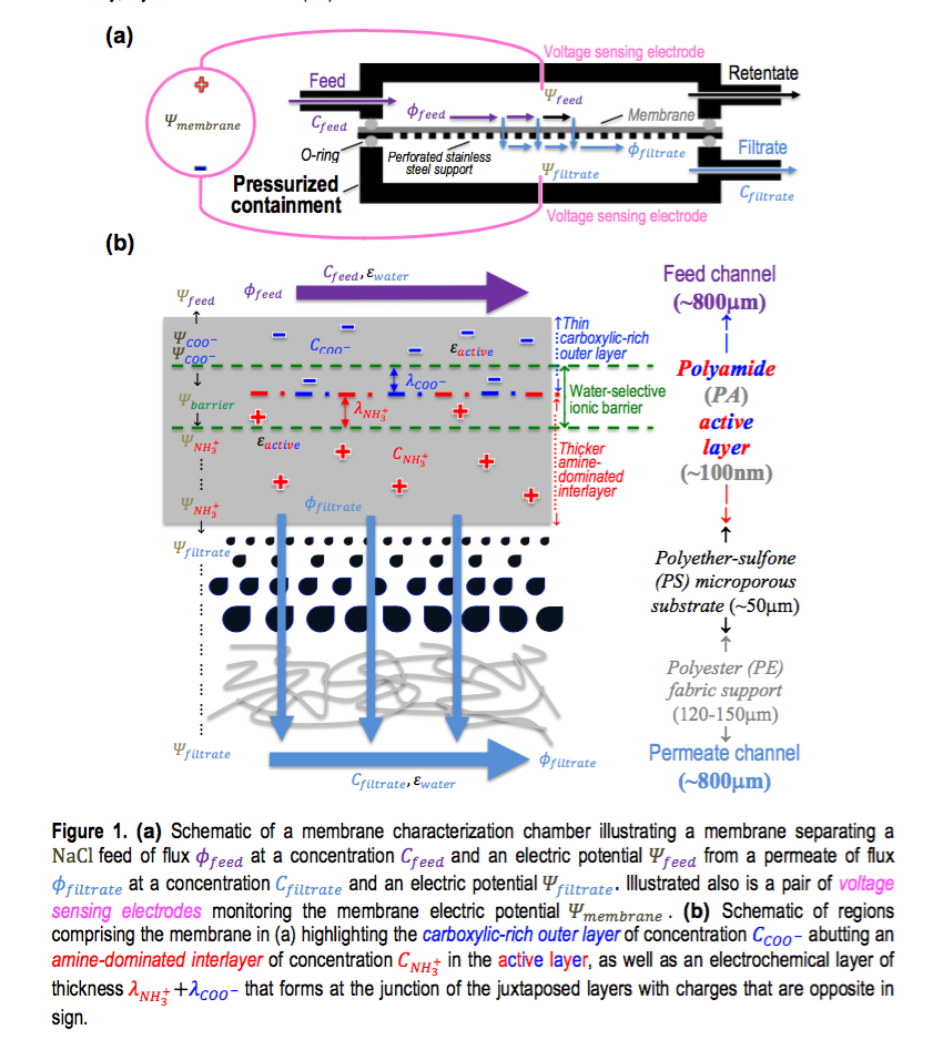 Voltage sensing electrode Retentate Feed Cfeed O-ring | Chegg.com