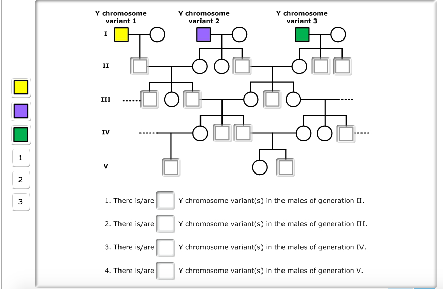 Solved Human Genography and Paleogenomics In humans, the X | Chegg.com