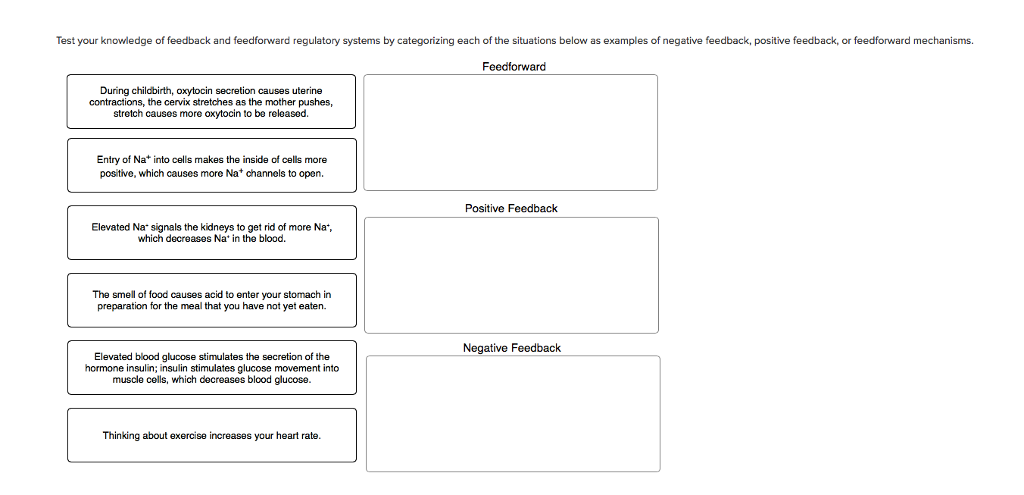 Solved Test your knowledge of feedback and feedforward | Chegg.com