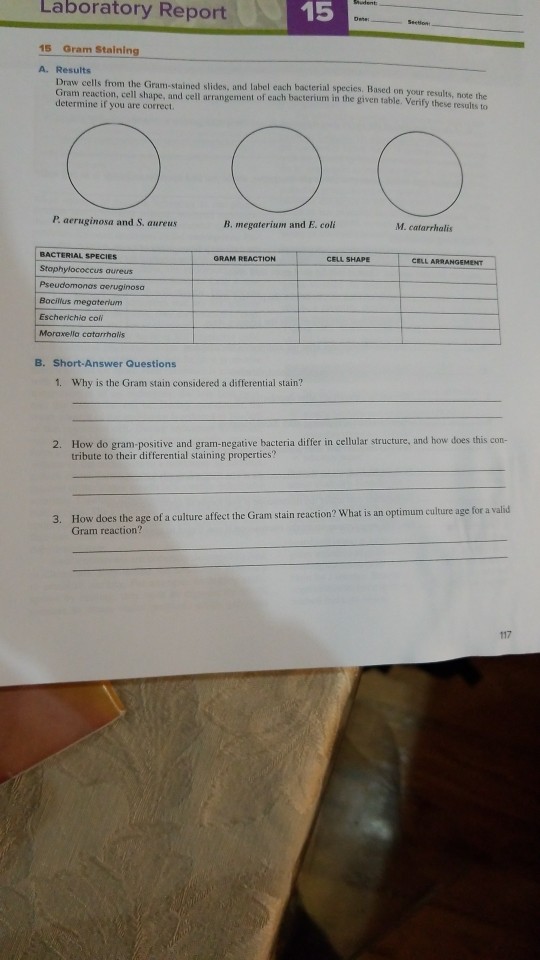 Solved: Laboratory Report 15 15 Gram Staining A. Results C... | Chegg.com