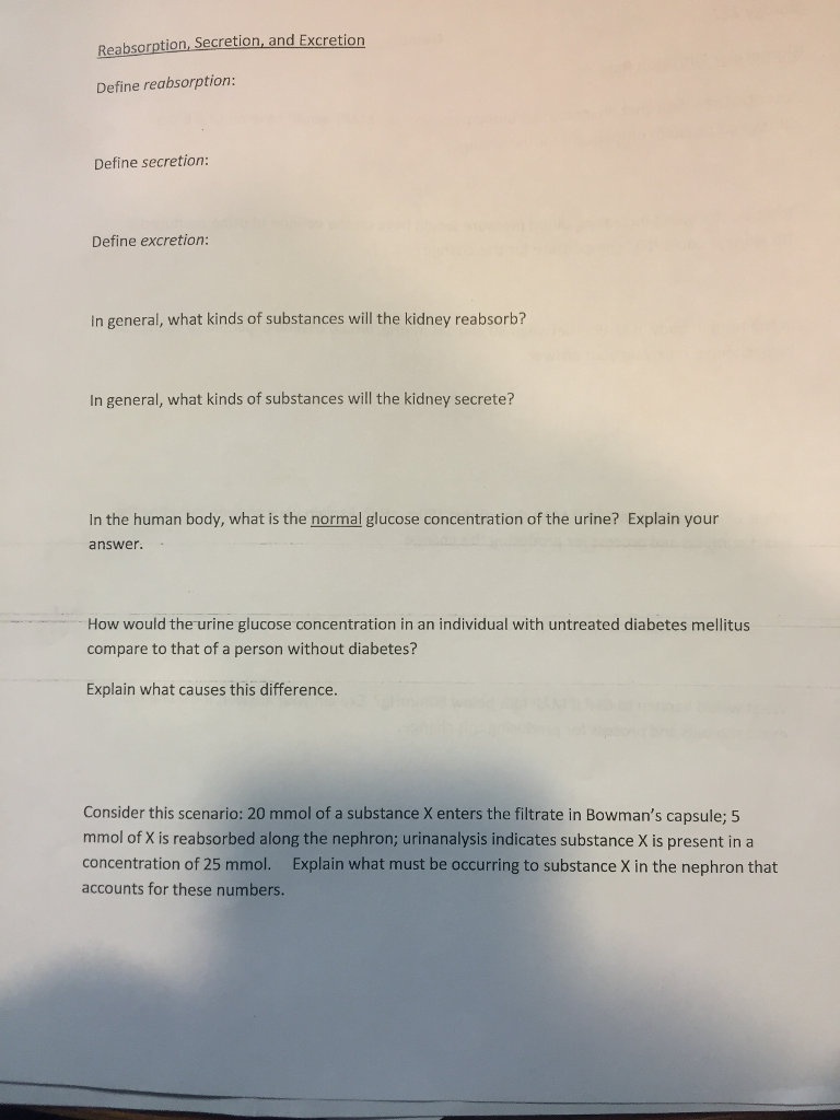 Solved Reabsorption, Secretion, and Excretion Define | Chegg.com