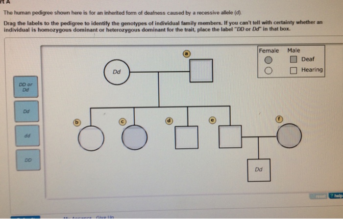 Solved The human pedigree shown here is for an inherited | Chegg.com
