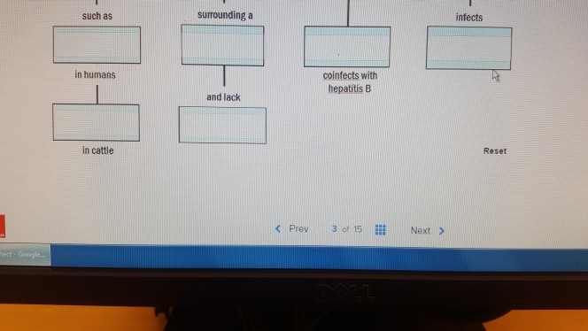 Solved Chapter 63 Help Save M Lmit 35 Mns Lat Move the terms | Chegg.com