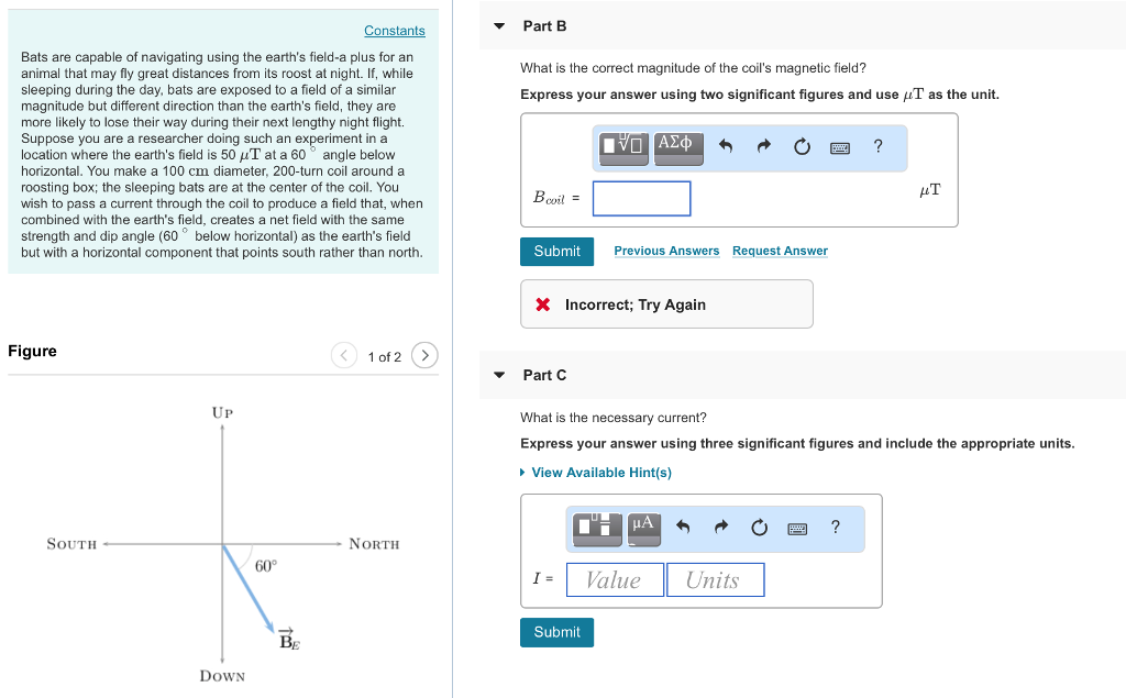 Solved Part B Bats are capable of navigating using the | Chegg.com