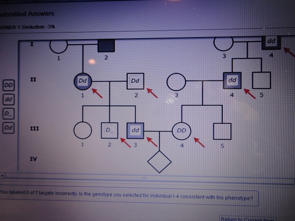 You labeled 6 of 7 targets incorrectly. Is the | Chegg.com