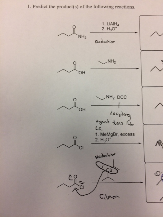 Solved Predict the product(s) of the following reactions. | Chegg.com