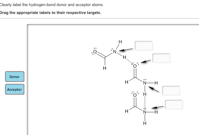 Solved Clearly label the hydrogen-bond donor and acceptor | Chegg.com Solved Clearly label the hydrogen-bond donor and acceptor | Chegg.com