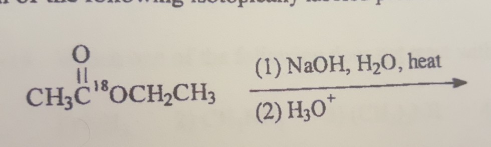 Solved (1) NaOH, H20, heat 1 8 (2) H30 | Chegg.com