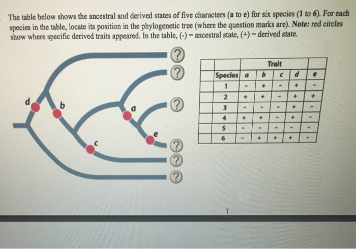 Solved The table below shows the ancestral and derived | Chegg.com
