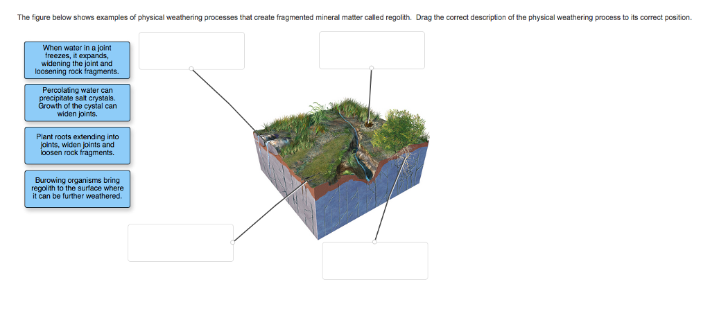 Solved The figure below shows examples of physical | Chegg.com