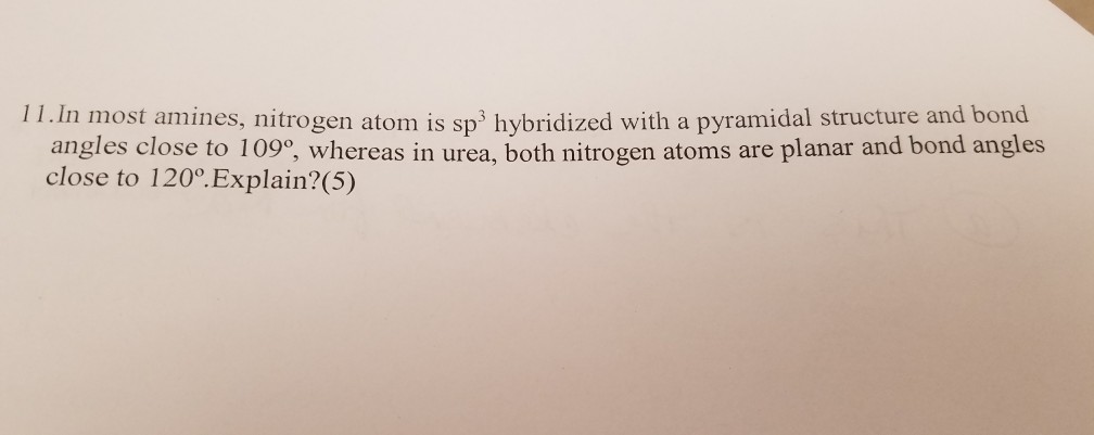 Solved 11.In most amines, nitrogen atom is sp hybridized | Chegg.com