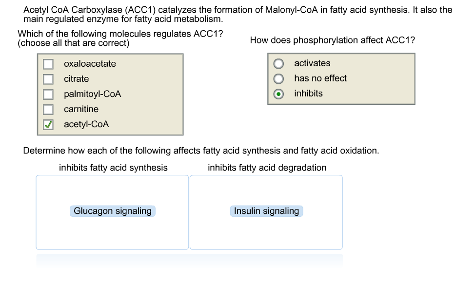 Solved Acetyl CoA Carboxylase (ACC1) catalyzes the formation | Chegg.com