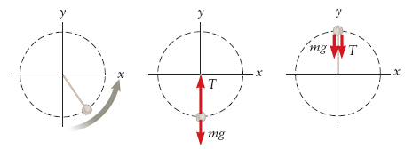 Solved A rock of mass m = 1.1 kg is tied to a string of | Chegg.com