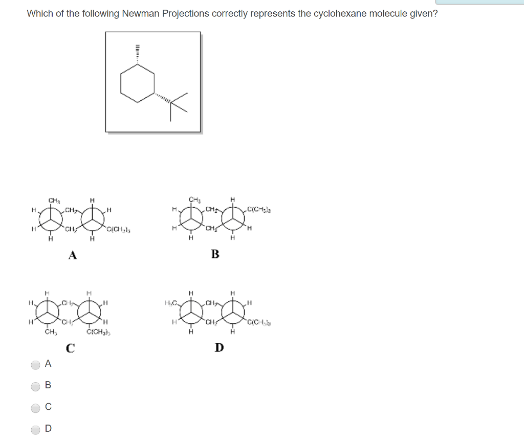 Solved Which of the following Newman Projections correctly | Chegg.com