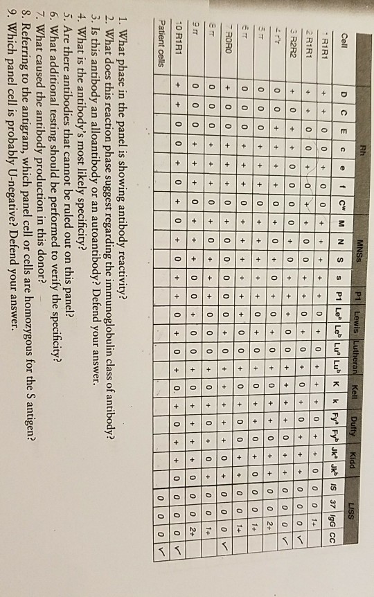 Solved Rh MNSs P1 LewisLutheran Kell Dufty Kidd Cell R1R1 2 | Chegg.com