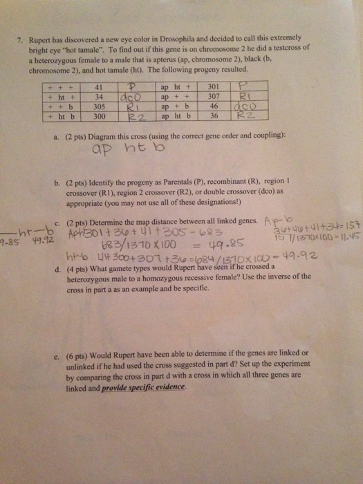 Solved help part d and e | Chegg.com