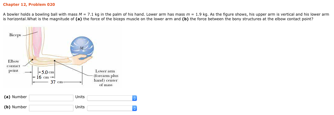 Solved A bowler holds a bowling ball with mass M = 7.1 kg in | Chegg.com