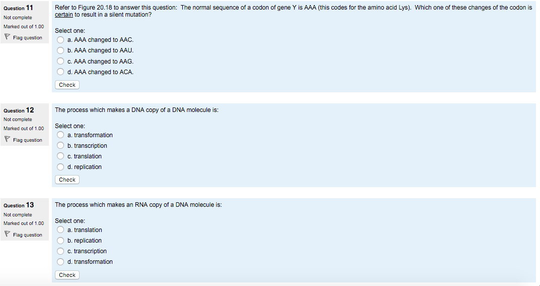 Solved A primary transcript RNA may contain segments that | Chegg.com