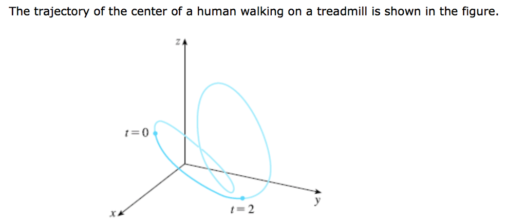 Solved The trajectory of the center of a human walking on a | Chegg.com