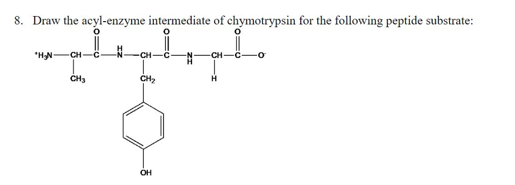 Solved 8. Draw the acyl-enzyme intermediate of chymotrypsin | Chegg.com