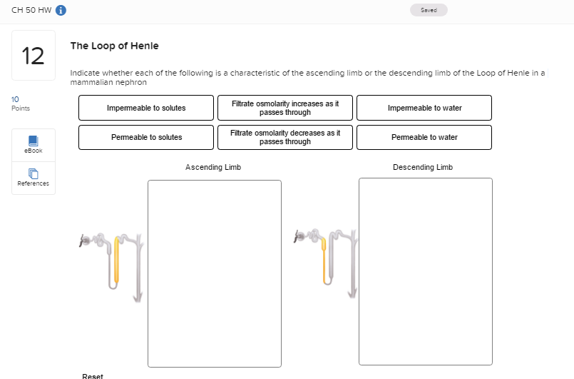Solved CH 50 HW 12 10 eBook References The Loop of Henle | Chegg.com