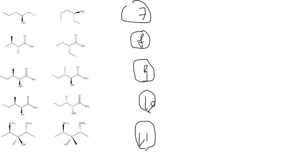 Solved What is the isomeric relationship between the | Chegg.com