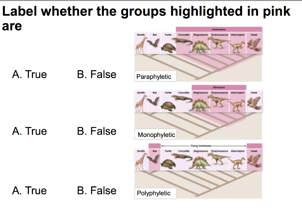 Solved Label whether the groups highlighted in pink are A. | Chegg.com