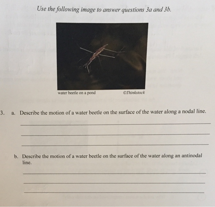 Solved Use the following image to answer questions 3a and | Chegg.com