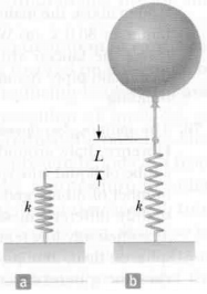 Solved A spring is connected vertically to a table as shown | Chegg.com
