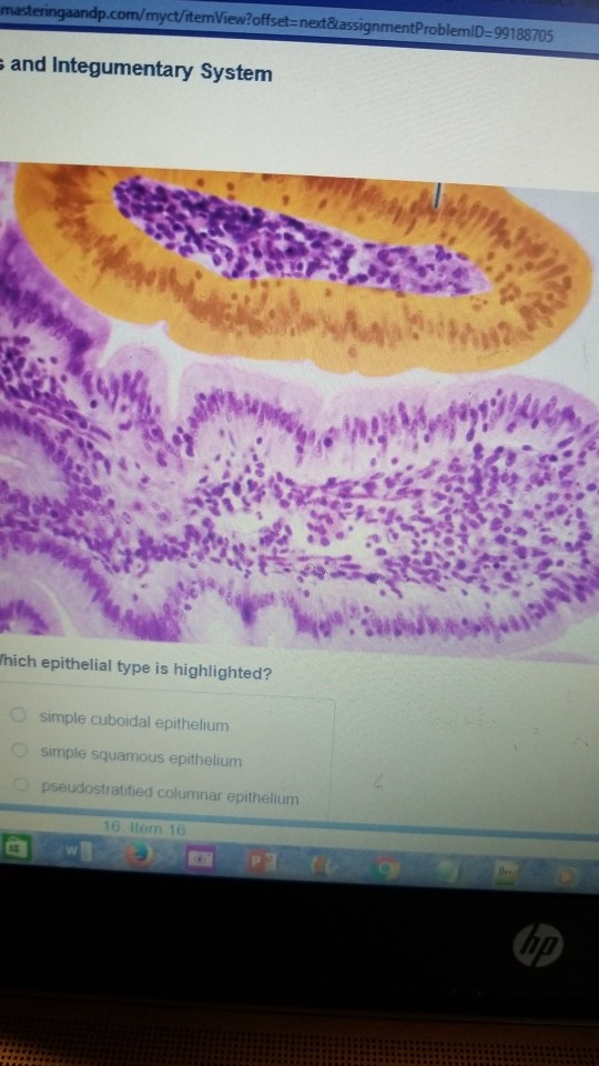 Solved com/myct/itemView?offset-next& 99188705 and | Chegg.com