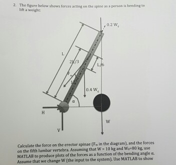 Solved 2. The figure below shows forces acting on the spine | Chegg.com