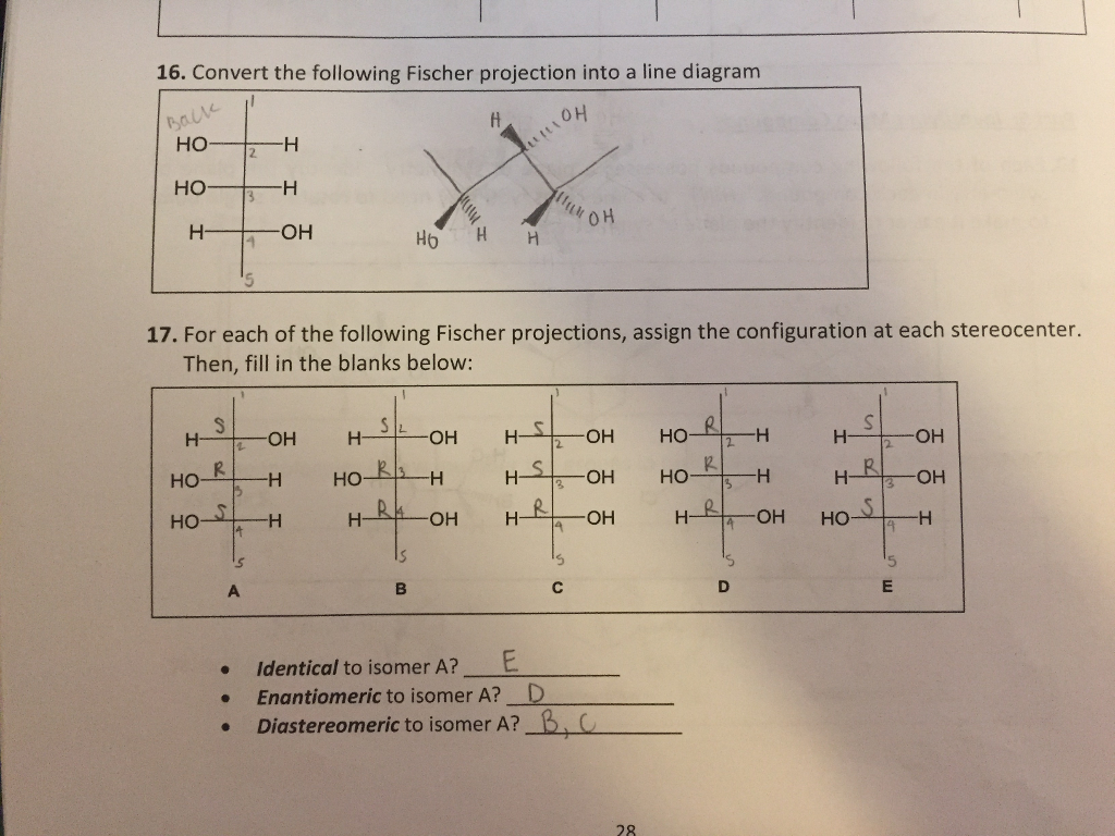 Solved 16. Convert the following Fischer projection into a | Chegg.com