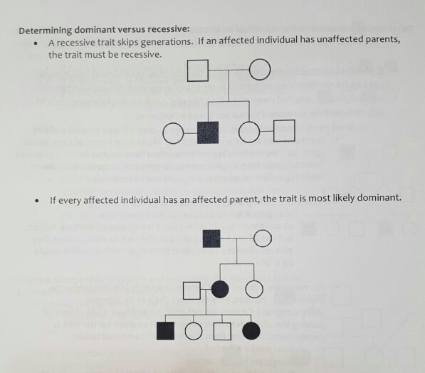 Solved Now that you are comfortable writing genotypes and | Chegg.com