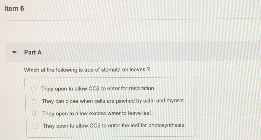 Solved I choose some option in the questions but I am not | Chegg.com