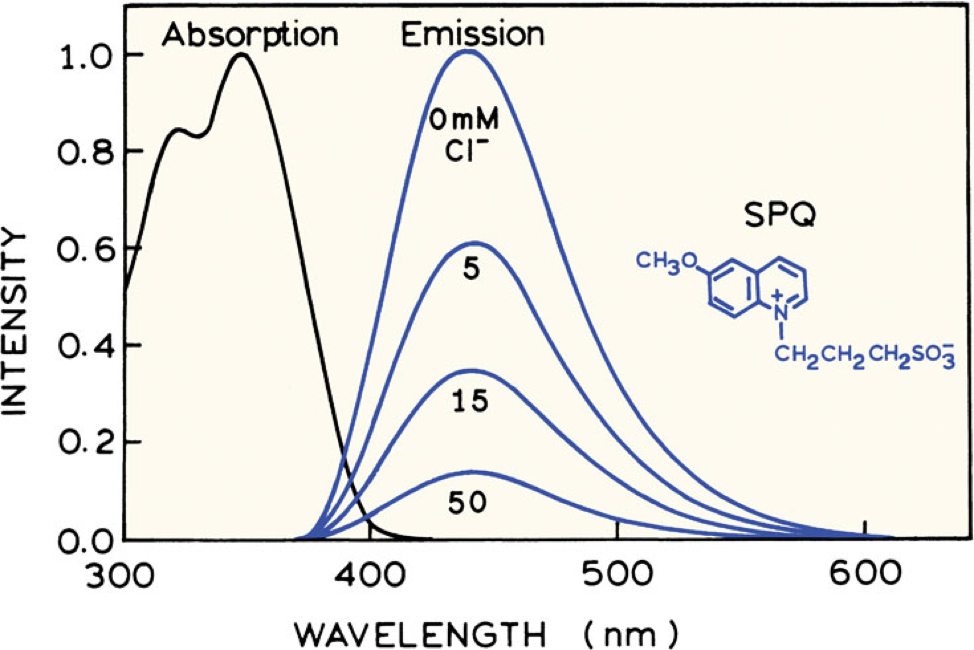 Chlorine Atomic Emission Spectrum at Esperanza Bruns blog
