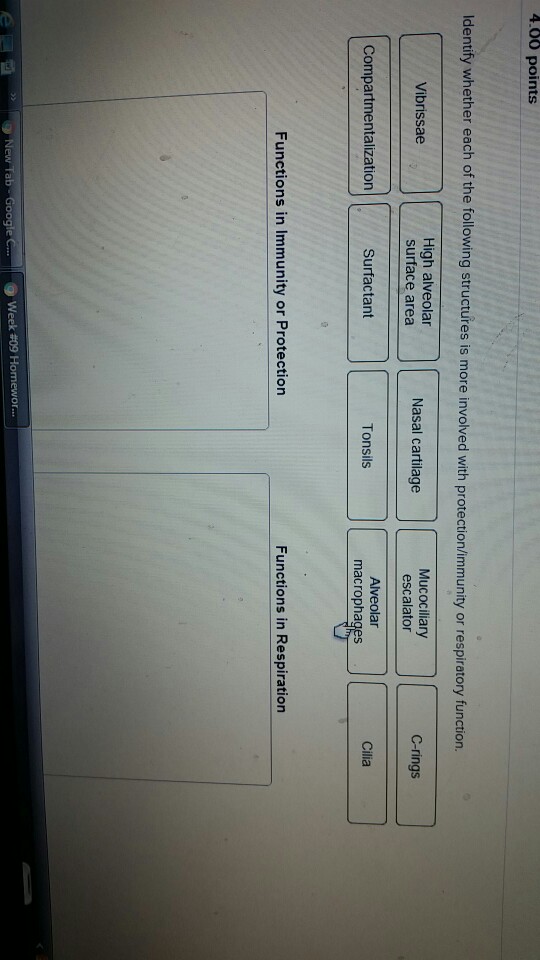 Solved identify whether each of the following structures is | Chegg.com