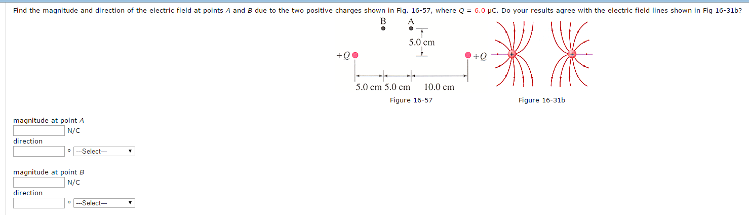 Solved Find the magnitude and direction of the electric | Chegg.com