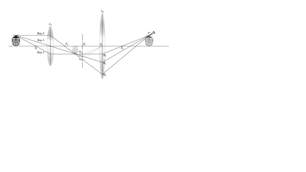 make a to-scale drawing of the two lens optical | Chegg.com