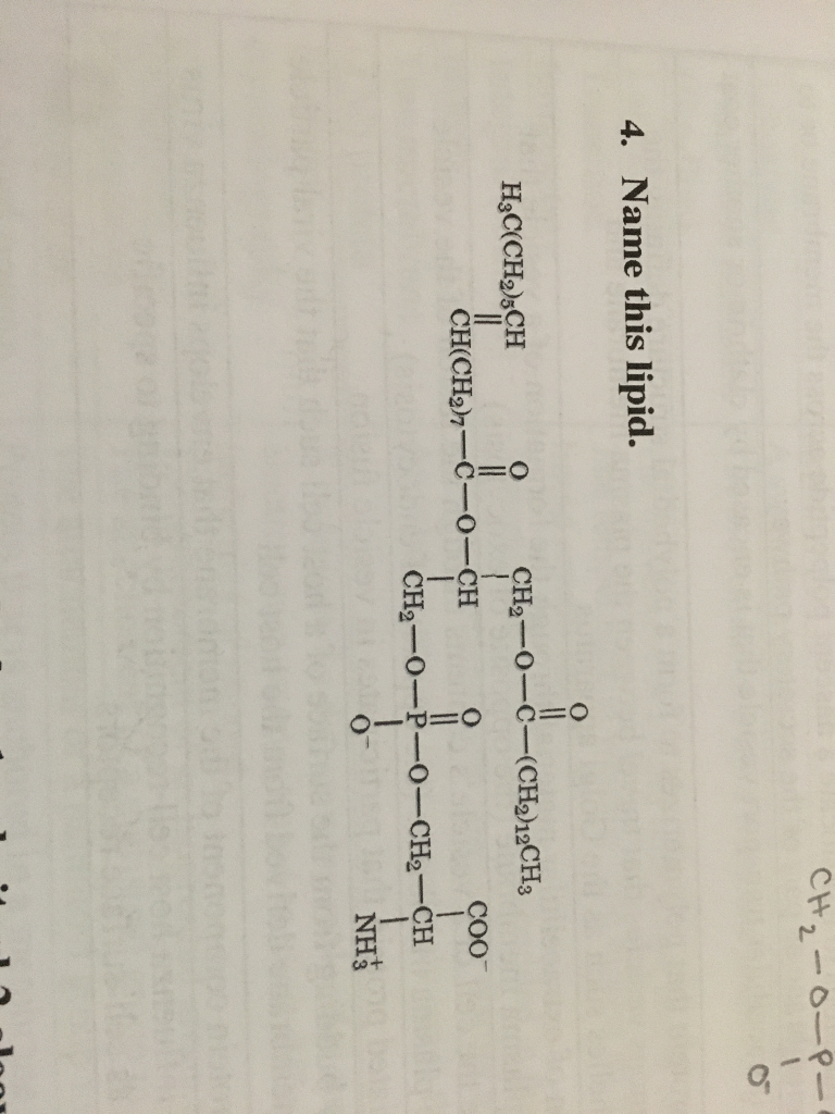 Solved 4. Name this lipid. H3C(CH2) CH CH2-0-C-(CH212CH3 | Chegg.com