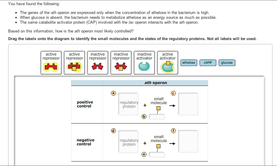 Solved You are studying a bacterium that utilizes a sugar | Chegg.com