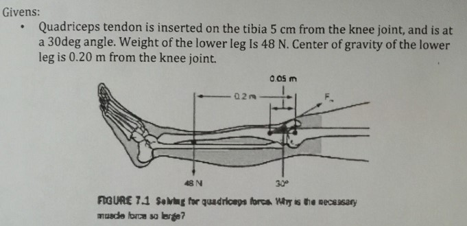 Quadriceps Muscles Test