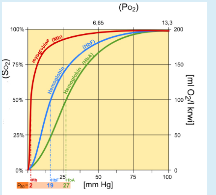 Solved 1) Our atmosphere is 78% nitrogen and 21% oxygen. If | Chegg.com